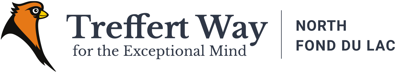 Treffert Way for the Exceptional Mind